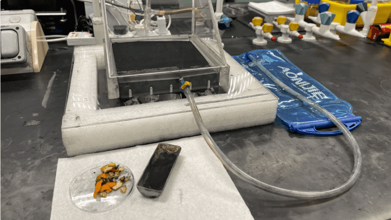 How Do You Make a Water Purifier From Fruit Waste? - Personalized ...