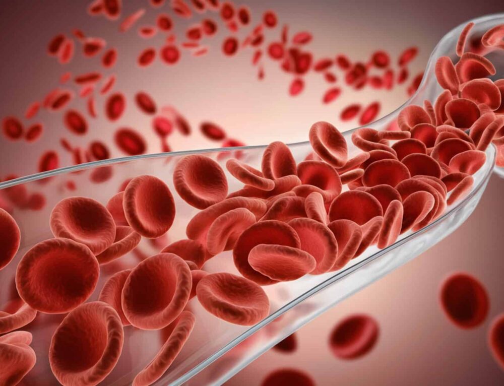 Anovulatory Cycle: How to Recognize, Prevent, and Treat It ...