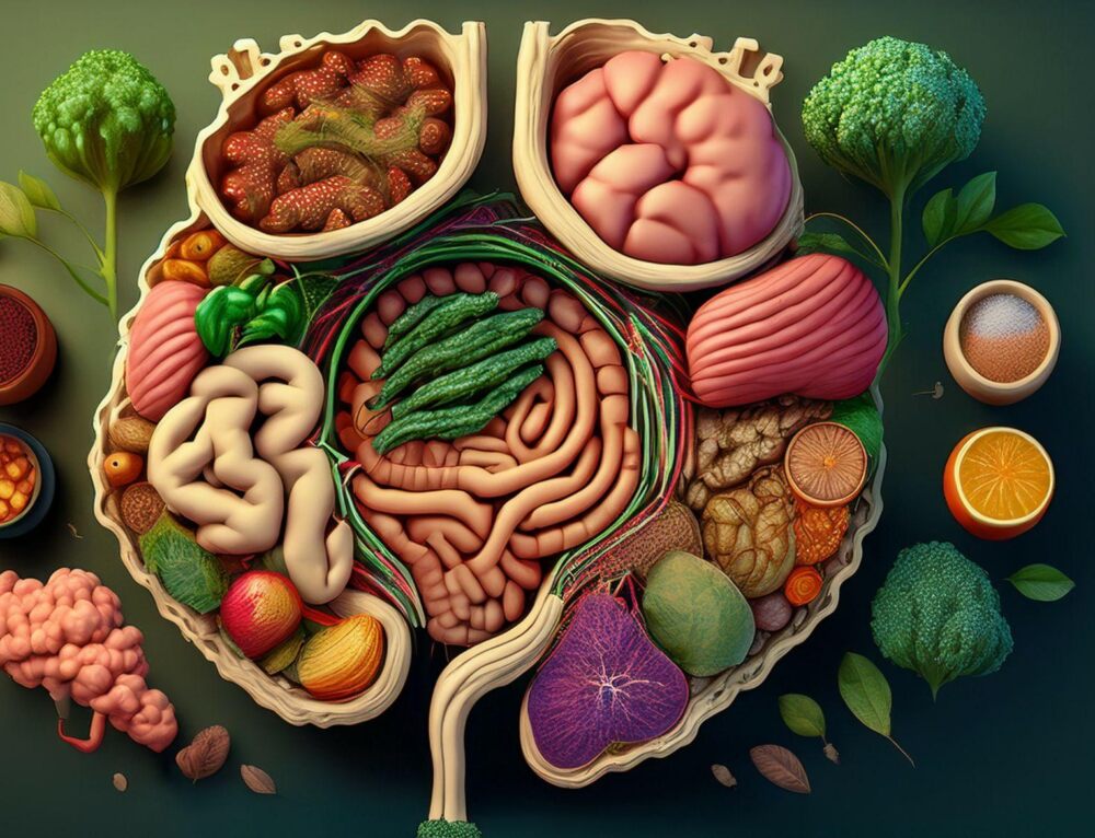 Gut Dysbiosis: Recent Research on Causes of Microbial Imbalance ...